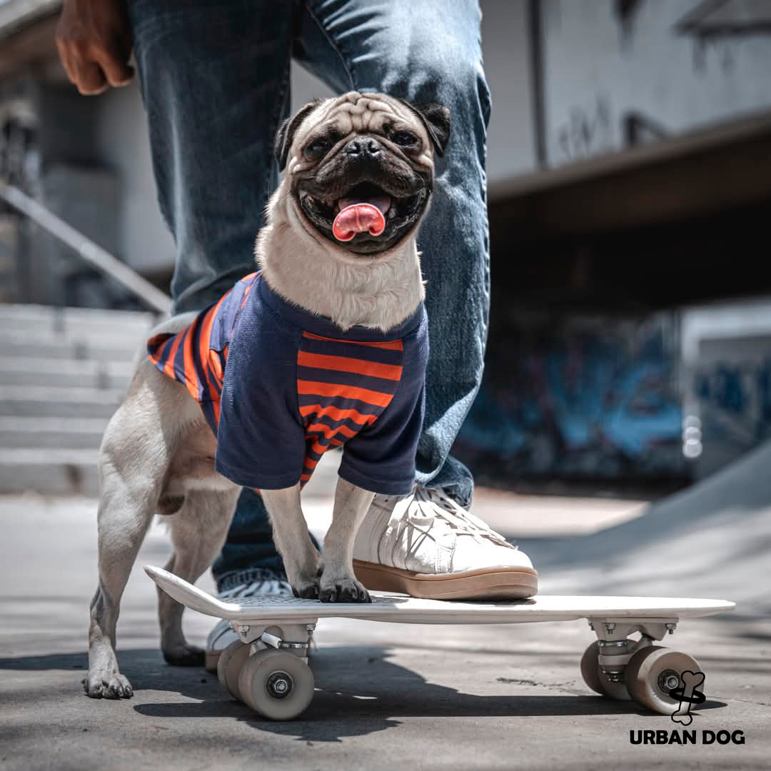 OUTLET – Urban Dog - Moda Canina